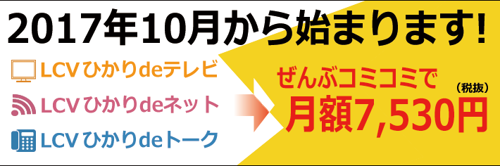 エルシーブイ株式会社